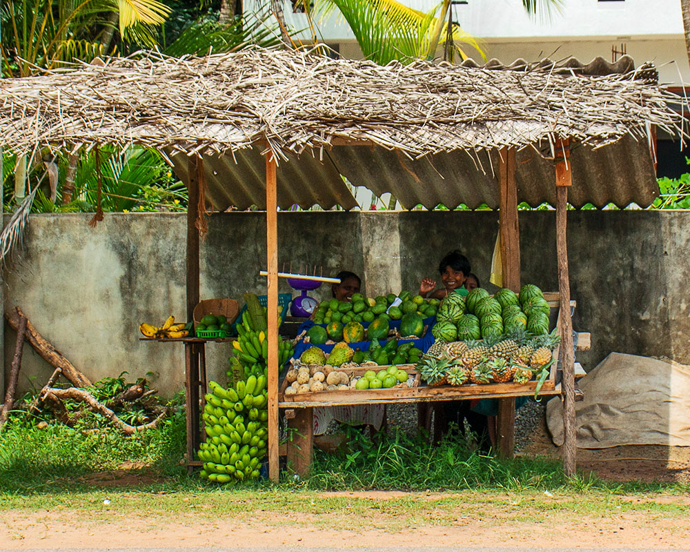 GALLERY | Luxury Hotel Sri Lanka | Haritha Villas & Spa